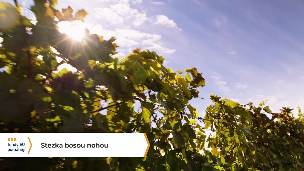 Bosou nohou mezi Rakouskem i Českem – to nabízí unikátní stezka | Stream